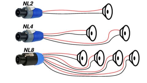 Audio Connector Guide | XLR, 1/4-Inch, 3.5mm, Speakon, RCA, & More ...